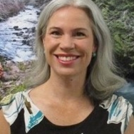 Alison Hinson, LPC - Aviva Health